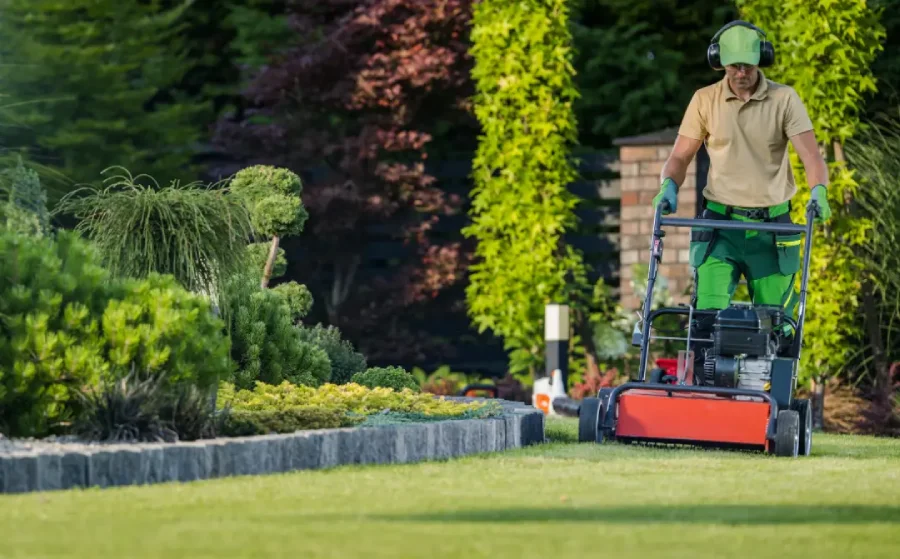 The Importance of Proper Lawn Mowing Techniques for Lawn Health - Janda ...